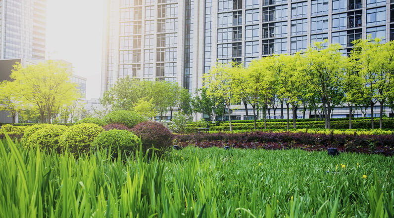 Blog: Sustainable parks