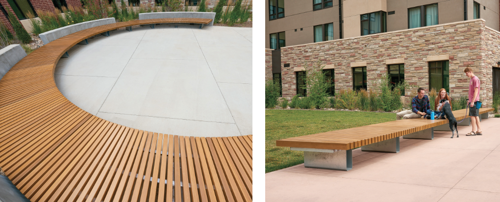 Blog: Celebrating 50 Years: Part Five