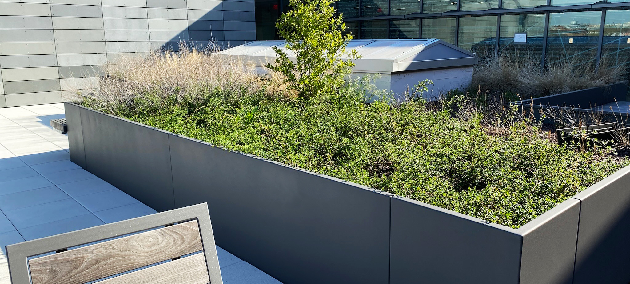 Infinity | Custom | Curved and Linear Benches