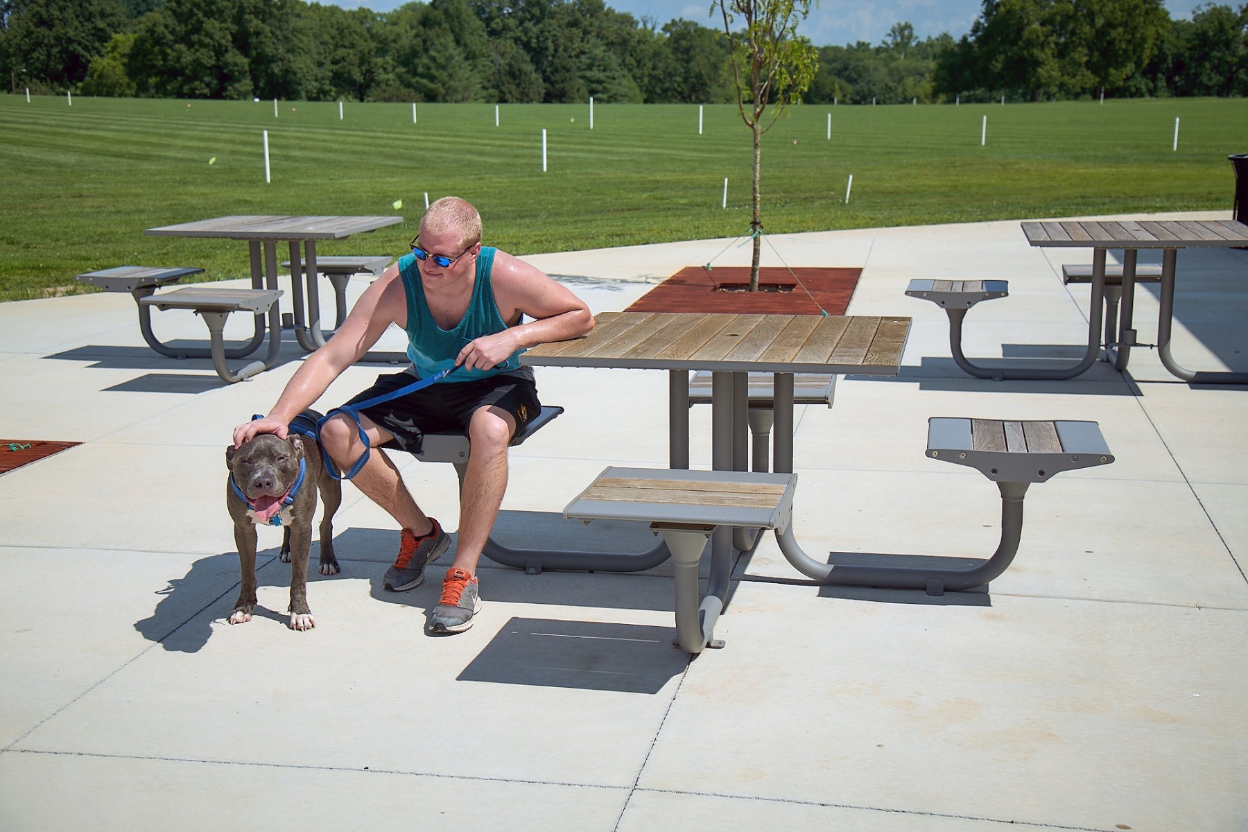 Central Fields at Forest Park | Projects