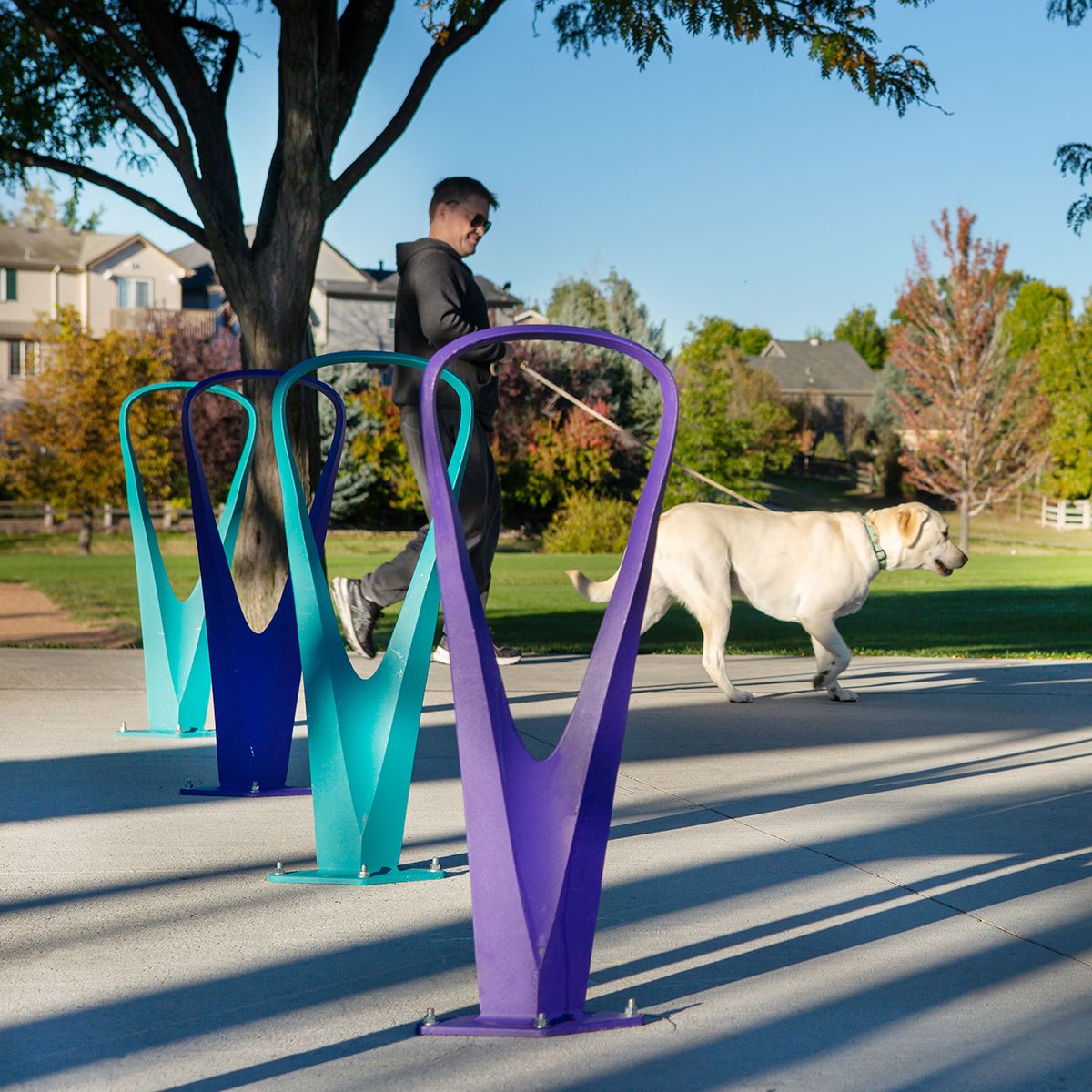 Anova Allure Bike Rack | AL19BR2