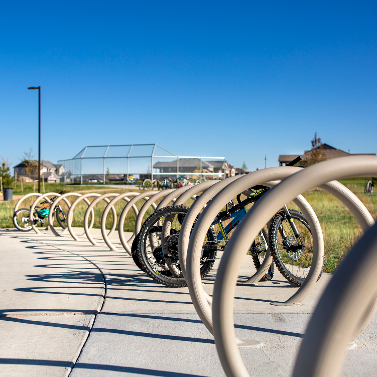 Anova Tandem Circle Fusion Advantage Finish Bike Rack, Inground Mount ...