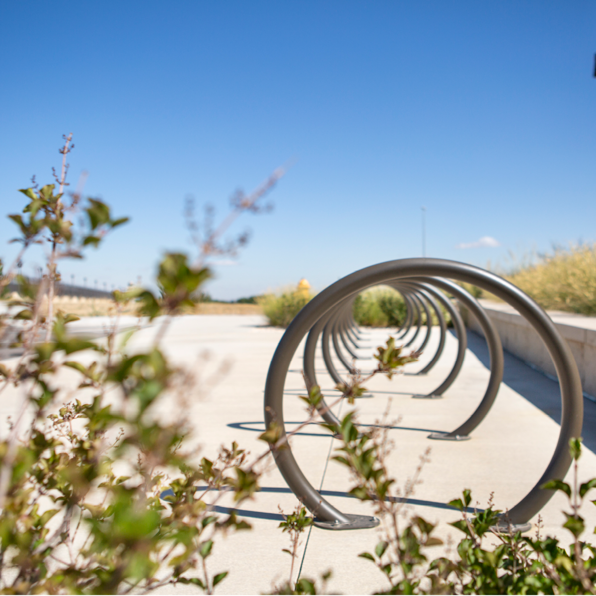 Anova Tandem Circle Fusion Advantage Finish Bike Rack, Surface Mount ...