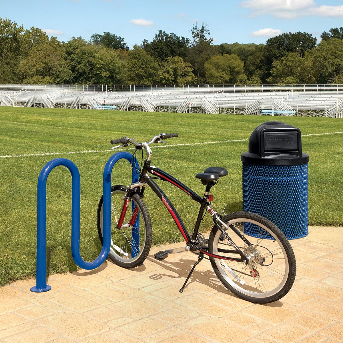 Anova Streetside 5-Bike/3-Loop Bike Rack, Fusion Advantage Finish ...